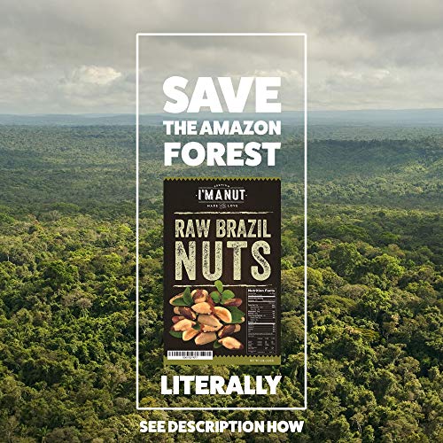 Raw Brazil Nuts 32oz (2 lb) Distinct and Superior to Organic | No PPO Non GMO Batch Tested Gluten & Peanut Free Herbicides Or Pesticides Vegan Keto Friendly Large, Fresh Resealable bag.