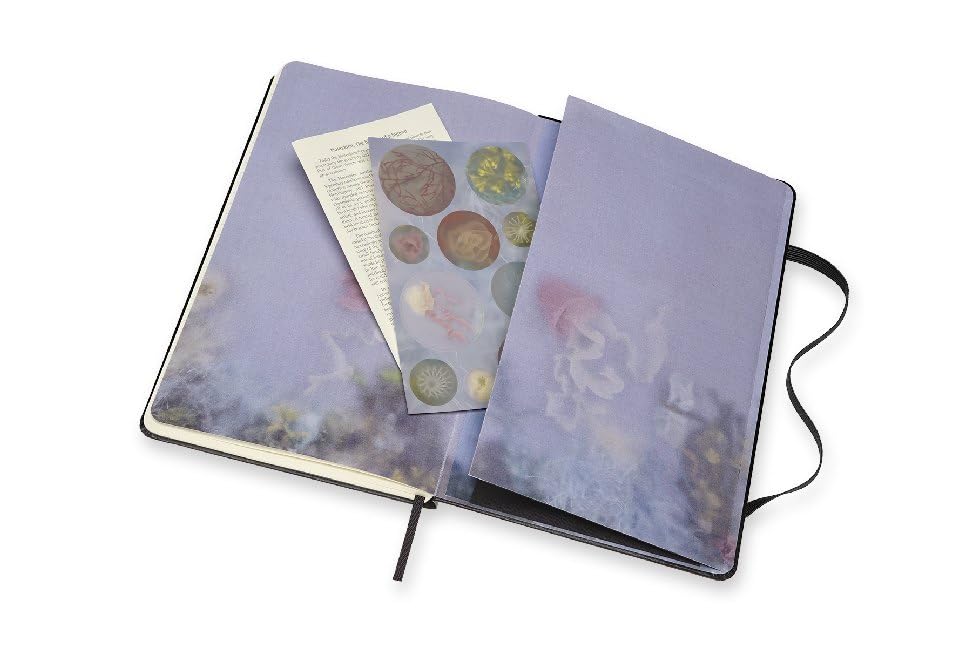 Moleskine Limited Edition Studio Collection Notebook, Hard Cover, Large (5" x 8.25"), Ruled/Lined, Sonia Alins, 240 Pages
