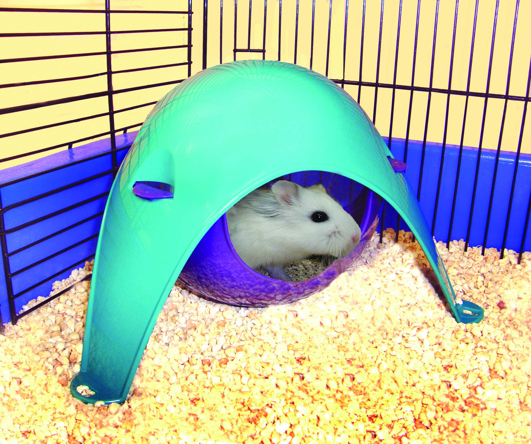 Lixit Igloos and Hideaways for Guinea Pigs, Rats, Mice, Hamsters, Gerbils and Other Small Animals (Assorted, Small Space Pod)