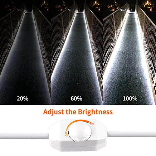 YQNLIFA Dimmable 80ft LED Rope Lights, 864 LEDs IP65 Waterproof Outdoor Indoor Linkable Cuttable Rope Light, 110V 6000K Daylight White Rope Light for Patio Garden Corridor Home Party Décor