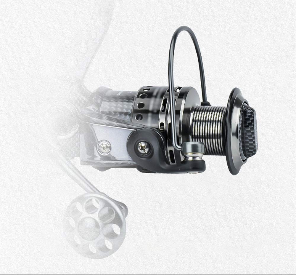 LLJPYX7L Black Fishing Reel, 14 Durable Stainless Steel Bearings, Drop Resistant, Rust-Proof Design, Interchangeable Left and Right Rocker, All Metal high Power Body (Color : Two Reel)
