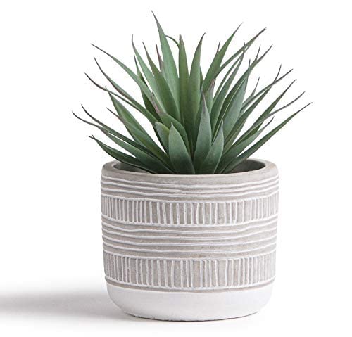 Kurrajong Farmhouse Artificial Plant | 8" Fake Plant for Desk Decor | Artificial Succulent in Pot | Fake Succulent | Faux Plant Indoor | Succulent Plant Artificial | Faux Succulent for Shelf Decor