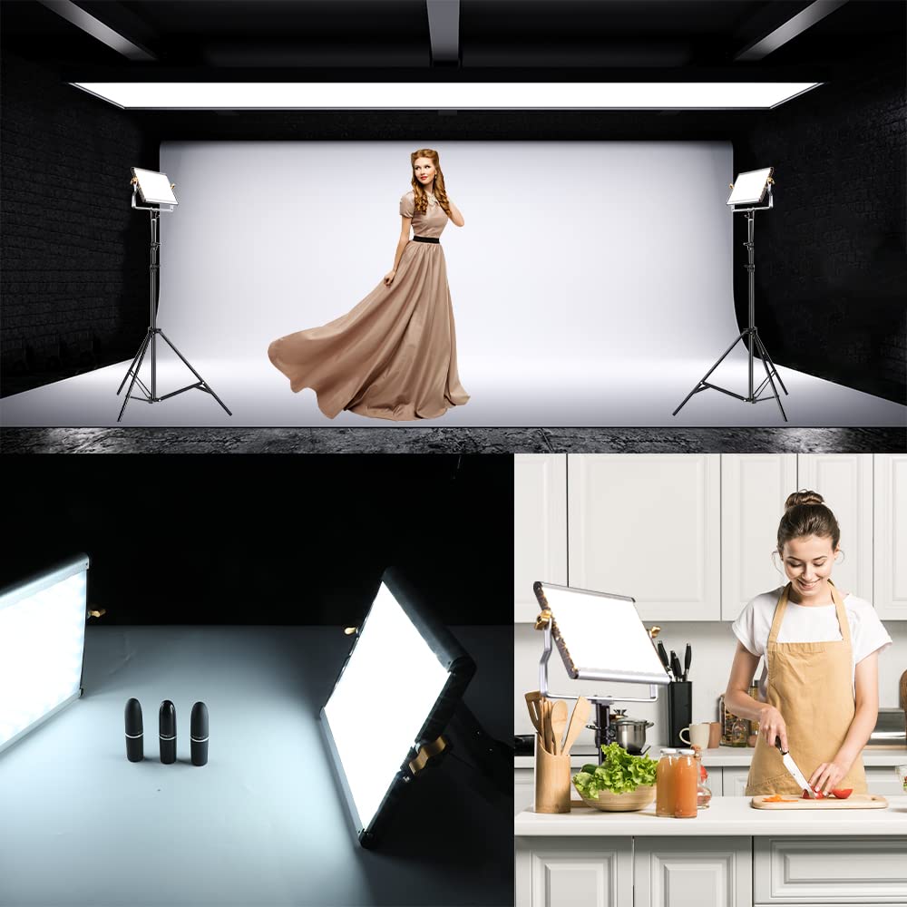 Video Lighting Kits, Dimmable Bi-Color 420 LED Video Light with Light Stand and 3 Carrying Bags, led Photography Lighting for YouTube Studio Photography, Video Shooting