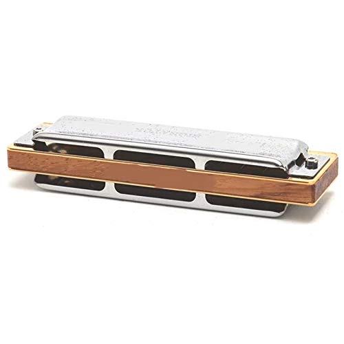 WAAZVXS Harmonica Blues Harp Diatonic Harmonica 10 Hole 20 Tone Musical Instruments Mouth Organ Key C
