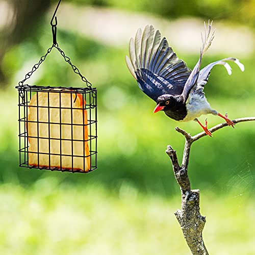 Shitailu 2Pcs Suet Bird Feeders, Outdoor Garden Cages, Suet Feeder for Outside Hanging, Wild Bird Feeder, Single Suet Cake Bird Feeders, One Suet Capacity