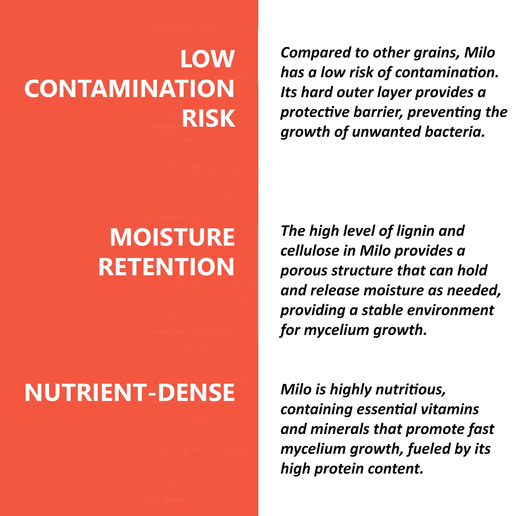MushroomSupplies.com Non-Sterilized Milo for Mushroom Growing - ShroomBoost™ Uncooked Grain Spawn - Substrate & Monotub Solution - Perfect for DIY Mushroom Grow Kits & Spawn Bags - 5 LBS