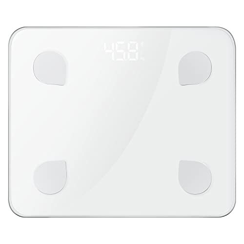 Smart Personnel Scale