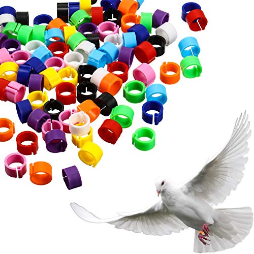 Weewooday 300 Pieces 8 mm Pigeon Leg Bands Ring Bird Quail Chicken Plastic Multi Color Foot Bands Clip on Leg Rings for Chicks Bantam Finch Dove Lovebird Small Poultry