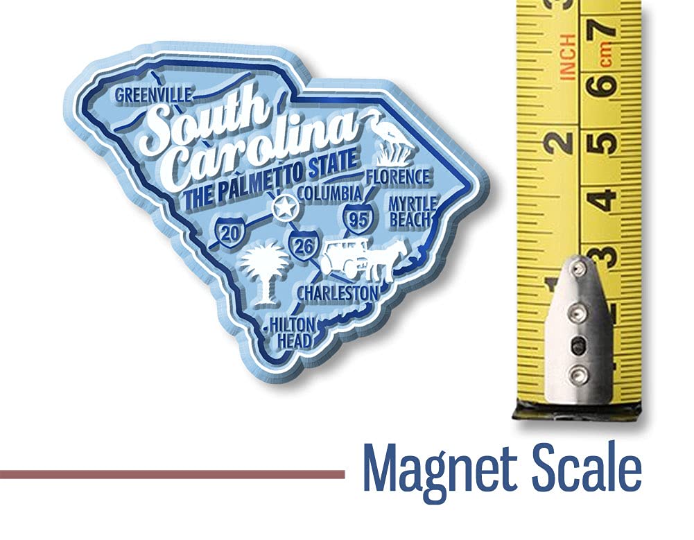 South Carolina Premium State Magnet by Classic Magnets, 2.9" x 2.3", Collectible Souvenirs Made in The USA