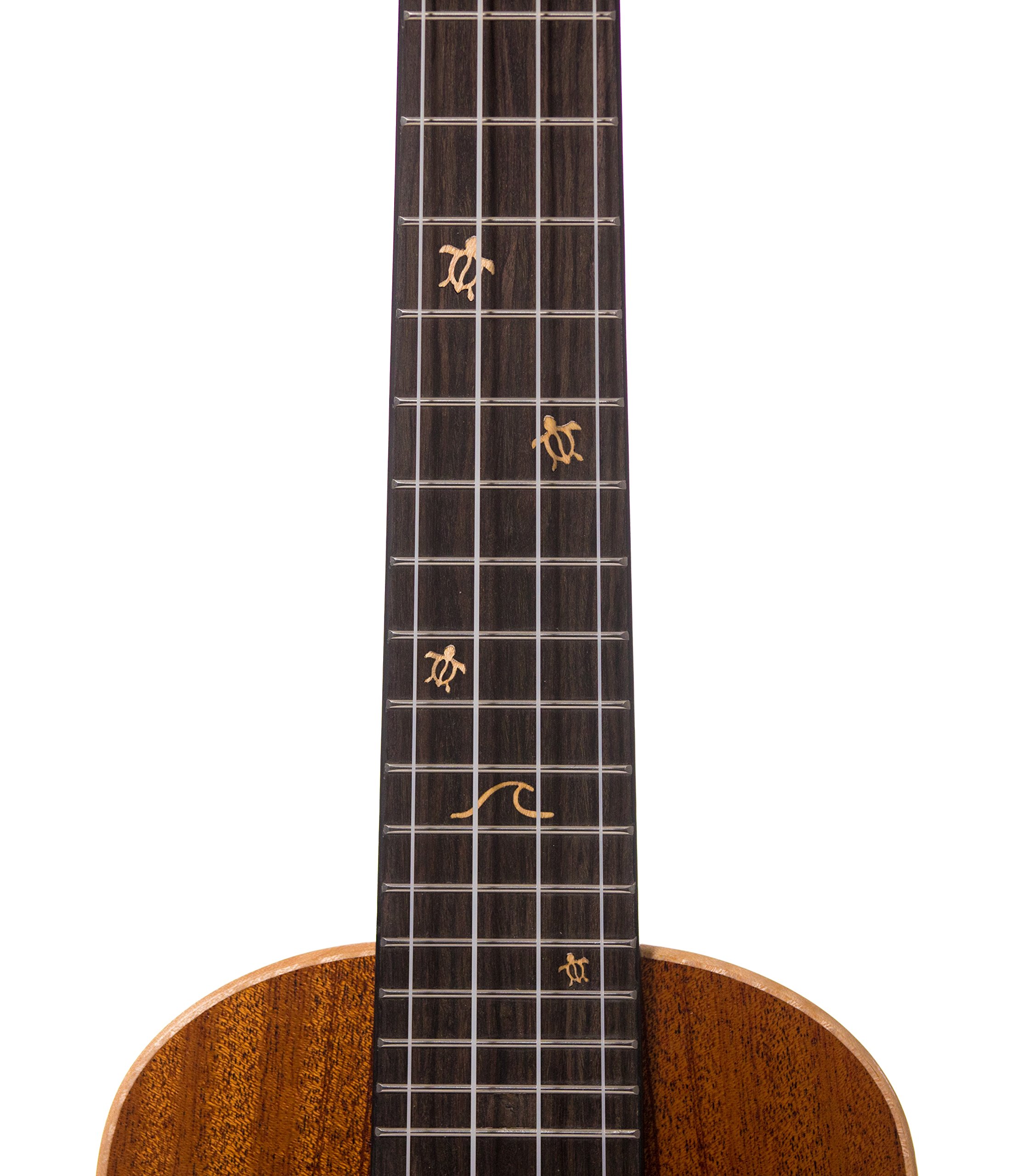 Moana Concert Mahogany Ukulele Bundle with Gig Bag, Tuner, Aquila Strings,Wall Hook, Music Book? (Ukulele with Gig Bag and Accessories)