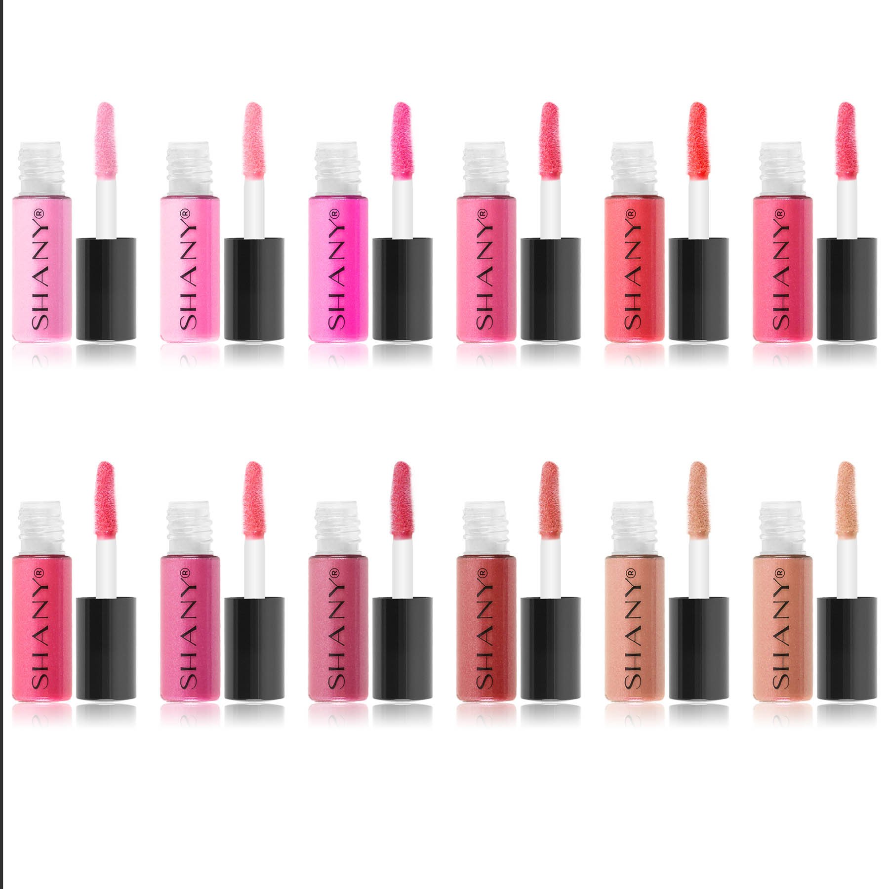 SHANY All That She Wants Lip-Gloss Set - 12 Matte, Pearl, and Shimmer petite Lip-gloss Set - Premium Gift Packaging