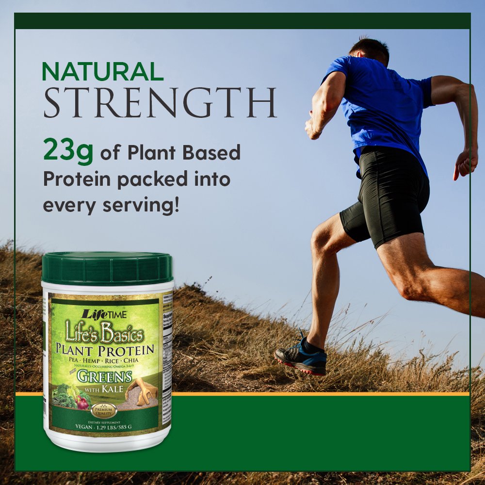 LIFETIME Lifes Basics Plant Based Protein Powder | Natural Chocolate, Vegan | No Gluten, Artificial Flavors, or Preservatives | 1.22lb