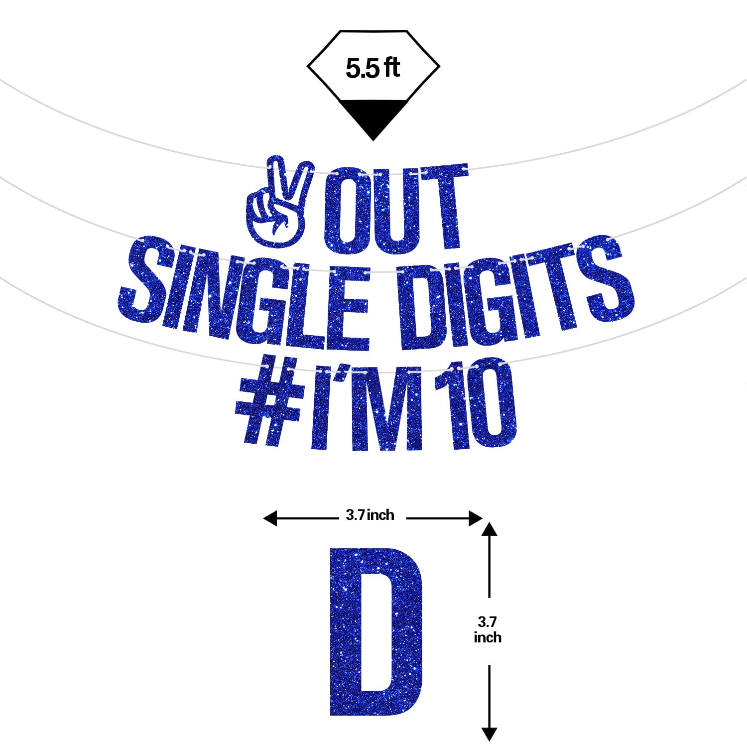 Out Single Digits I'm 10 Banner, Double Digits 10, Happy 10th Birthday Decorations for Boys, 10th Birthday Party Decoration Supplies Blue Glitter