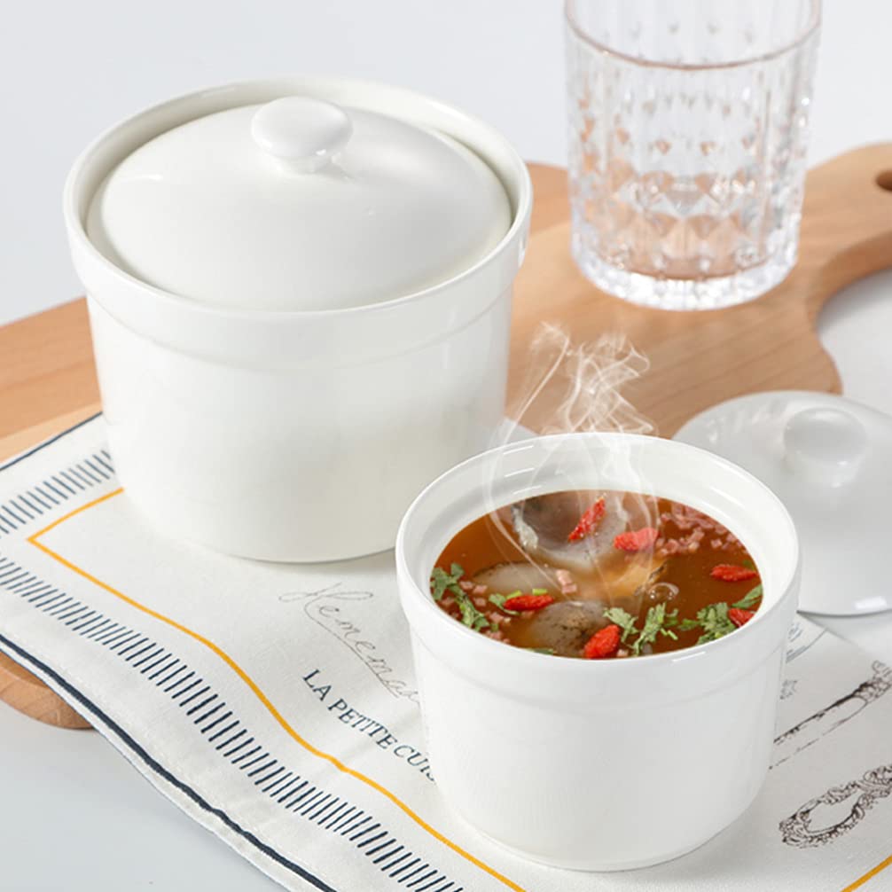SHERCHPRY Ceramic Stew Pot with Lid, Edible Birds Nest Bowl with Cover, Steamed Egg Bowl for Egg Custard Birds Nest Tonic, White
