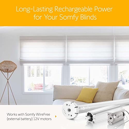 somfy Rechargeable Lithium-ion Battery Pack for External Battery Wirefree Motors - Year Round Power for RTS Motorized Shades, Curtains, and Awnings - Charge Once a Year - #9021217