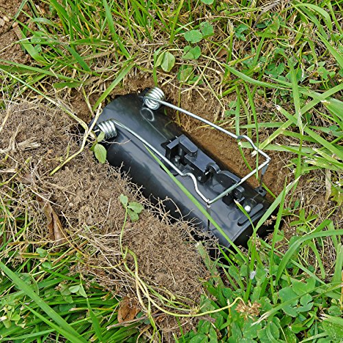 Southern Homewares Black Hole Gopher / Rodent / Mole Easy Set Spring Loaded Trap, Non-Toxic Pest Eliminator 2.0