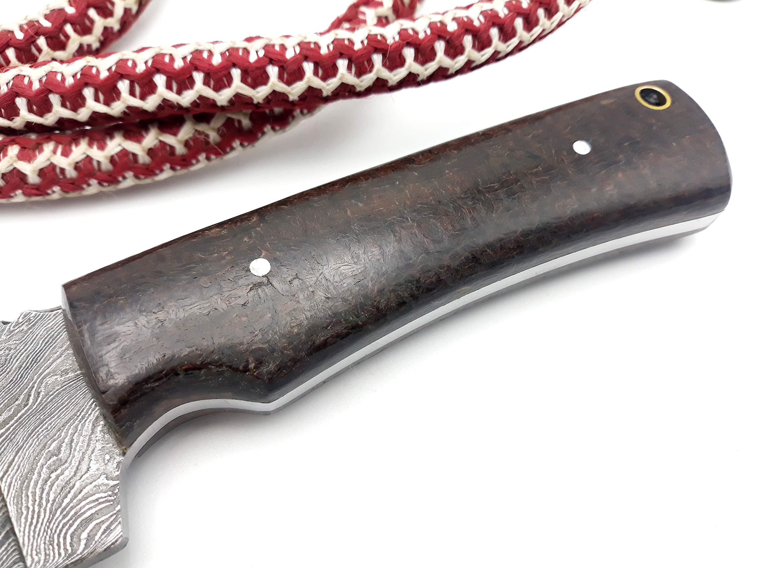 Nooraki SK-65 Handmade Damascus Hunting Knife 8.5 inches Full Tang Blade with Leather Sheath Skinner Knife, Exotic Walnut Wood Handle
