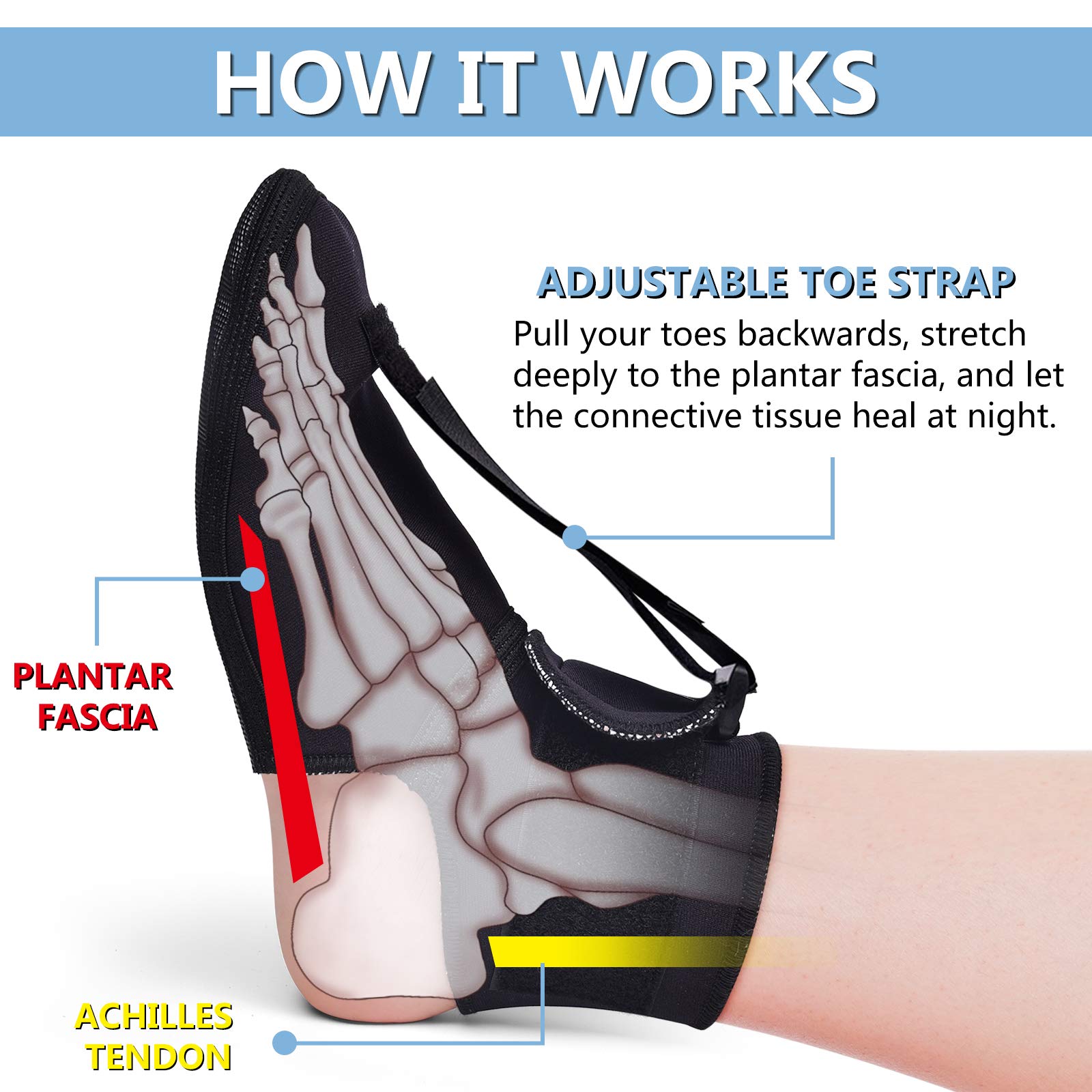 OneBrace Plantar Fasciitis Night Splint Sock, Soft Stretching Boot Splint for Aching Feet & Heel Relief,Achilles Tendonitis Foot Support Brace for Right or Left Foot(Large)