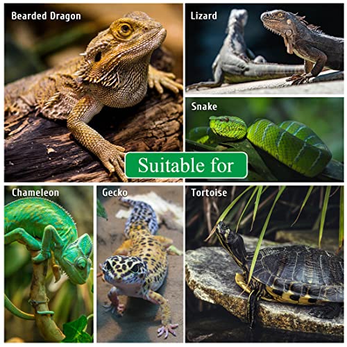 Turtle Basking Platform,Tortoise Dock Resting Rock Turtle Climbing Ramp Shale Step Ledge Aquarium Terrarium Decoration for Tortoise Bearded Dragon Lizard Chamelon Frog Gecko Snakes Iguana Betta Fish