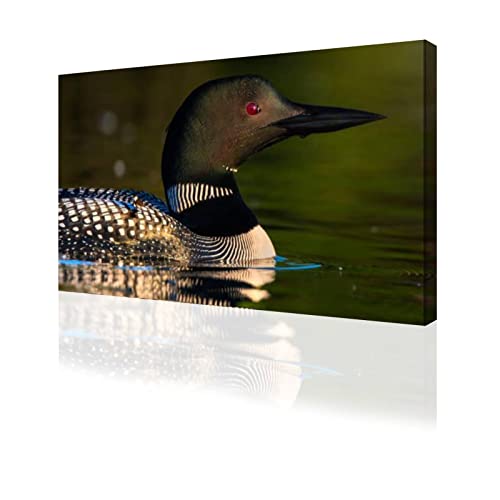 Large Wall Art Loon with red glow in eye Painting Poster Print on Canvas Artwork for Living Room Bedroom Stretched and Framed Ready to Hang 20βx40β