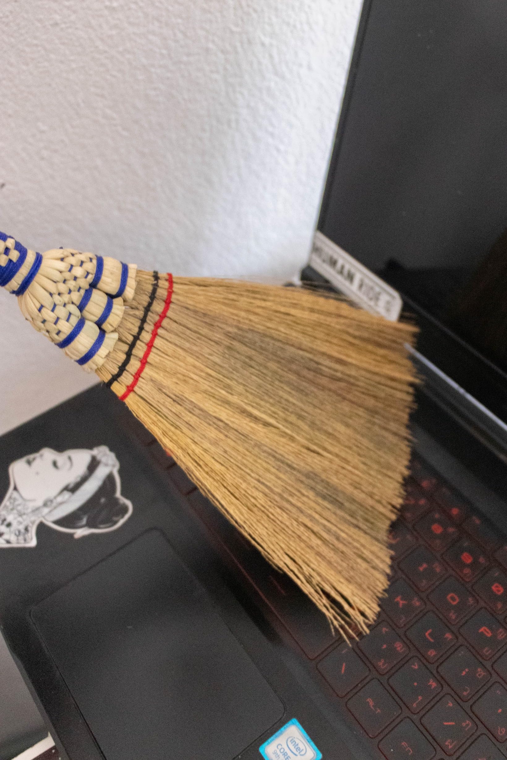 SN SKENNOVA – Small Whisk Broom Handheld Brush Whisks Away Dust, Dirt & Debris Brush Head 9.5-11" L with Nylon Hanger for Easy Storage Perfect for Inddor Outdoor and Car