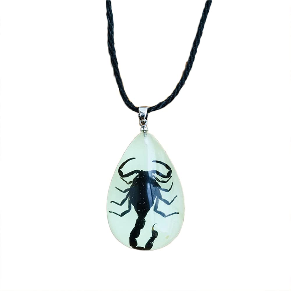 PTGMH Glow in the Dark Necklace Black Scorpion Amber Resin Adjustable Necklace Pendent with Insect Sample Inside Birthday Gift for Lover Friends (Black(black Scorpion))