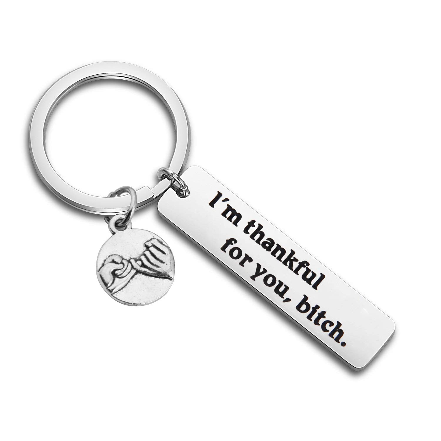 Lywjyb Birdgot Best Friend Gift Funny Friends Keychain I'm Thankful For You Bitch Friendship Keychain Gift (Thankful For You Bitch)