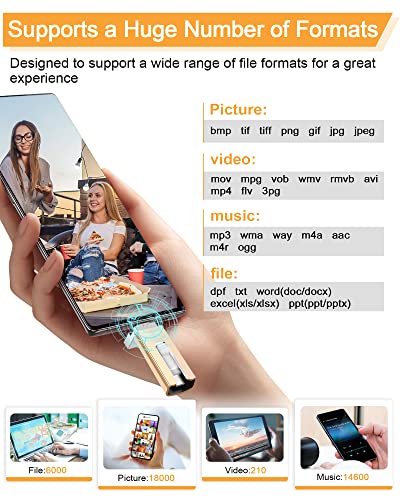Sunany USB Flash Drive 256 GB for Phone and Pad, High Speed External Thumb Drives USB Memory Storage Photo Stick for Save More Photos and Videos (Gold)