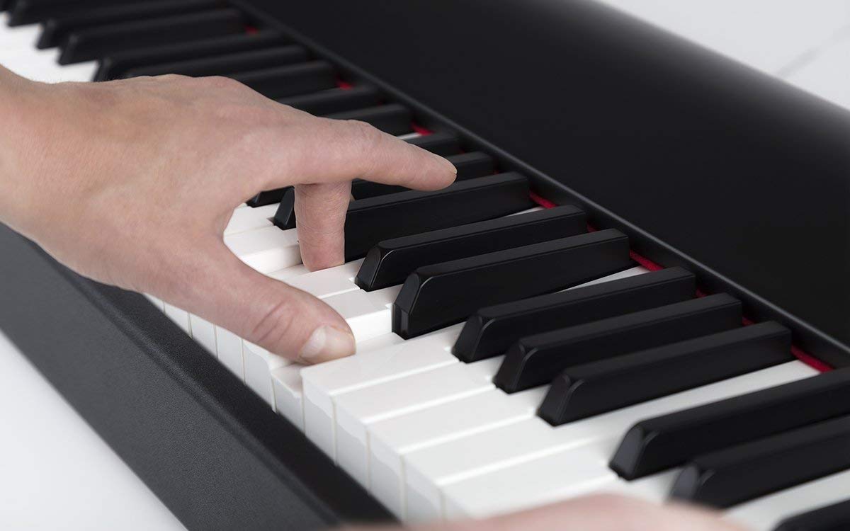 M-Audio Hammer 88 | 88-Key Hammer-Action USB MIDI Keyboard Controller (Renewed)
