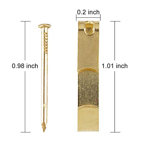 LOCONHA 100 Pack - 30lbs - Picture Hangers Picture Hanging Nails Picture Hooks with Nails