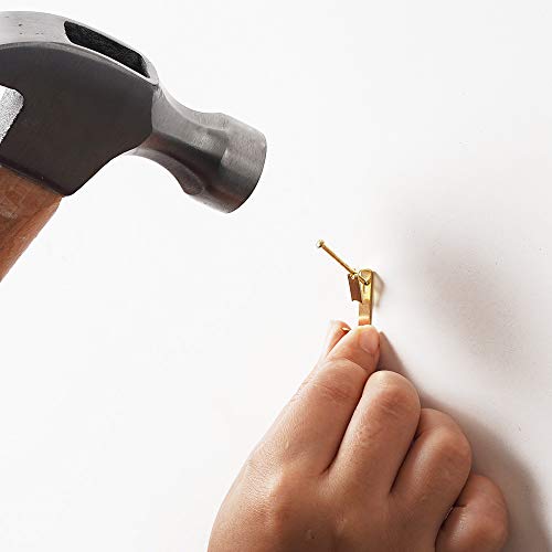 LOCONHA 100 Pack - 30lbs - Picture Hangers Picture Hanging Nails Picture Hooks with Nails