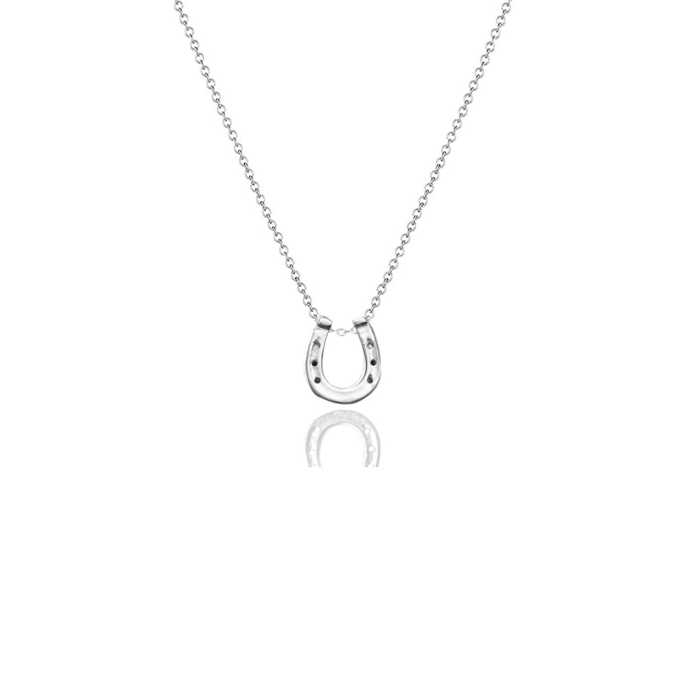 LANG XUAN Good Luck Horseshoe Pendant Friendship Chain Necklace with Meaning Card for Women Silver Gift