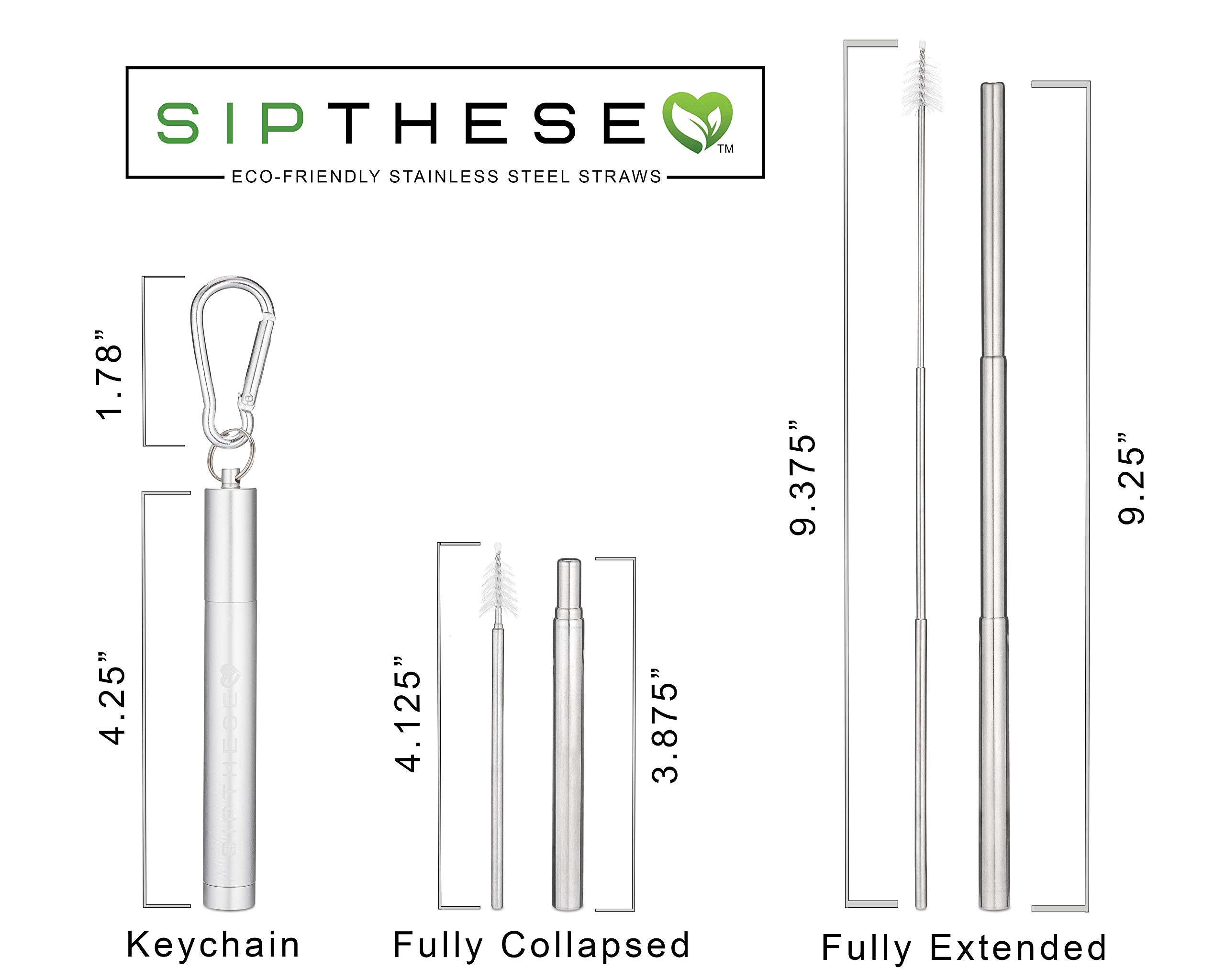SipThese Collapsible Straw With Retractable Cleaning Brush In Keychain. 4 Angled Stainless Steel Straws With Silicone Tips. 1 Straw Cleaning Brush And Travel Bag. Eco Friendly Reusable Straws