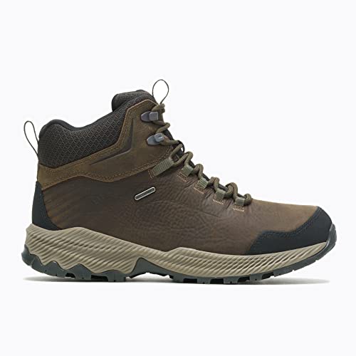 Merrell mens Forestbound Mid Wp Hiking Boot, Cloudy, 10 US