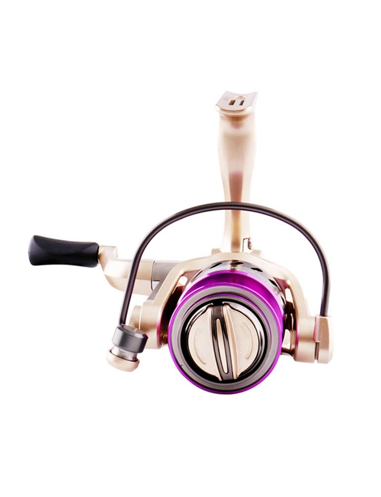 LLJPYX7L Spinning Fishing Reel for Salt Water and Fresh Water, Rocker Left/Right Hand Interchangeable, 6 Super Smooth Stainless Steel Bearings (Size : 5000)