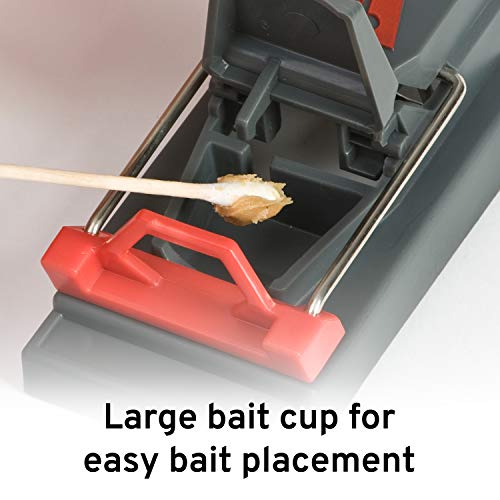 Victor M140S Quick Kill Mouse Trap, 2-Pack Easy to Set mouse trap