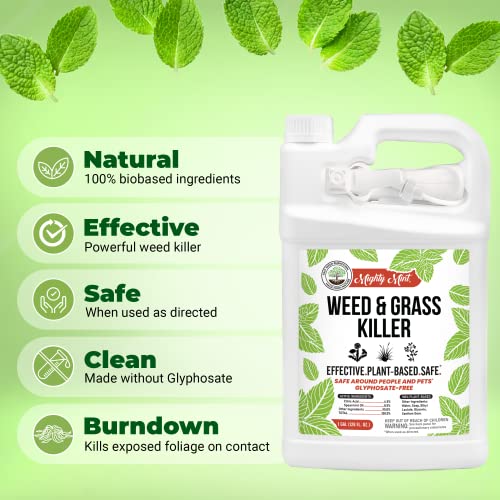 Weed & Grass Killer β Natural Vinegar Weed Killer β for Organic Use β 1 Gallon - Glyphosate Free - OMRI - Shake Well