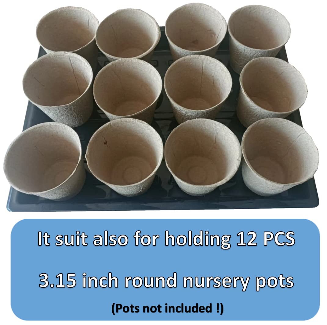 RooTrimmer Grow-Green 10-Pack Microgreen Seed Starter Grow Trays for Seedlings, Shallow Seeding Germination Flats Non Standard 1015 Tray no Holes Plant Sprouter Propogation Tray