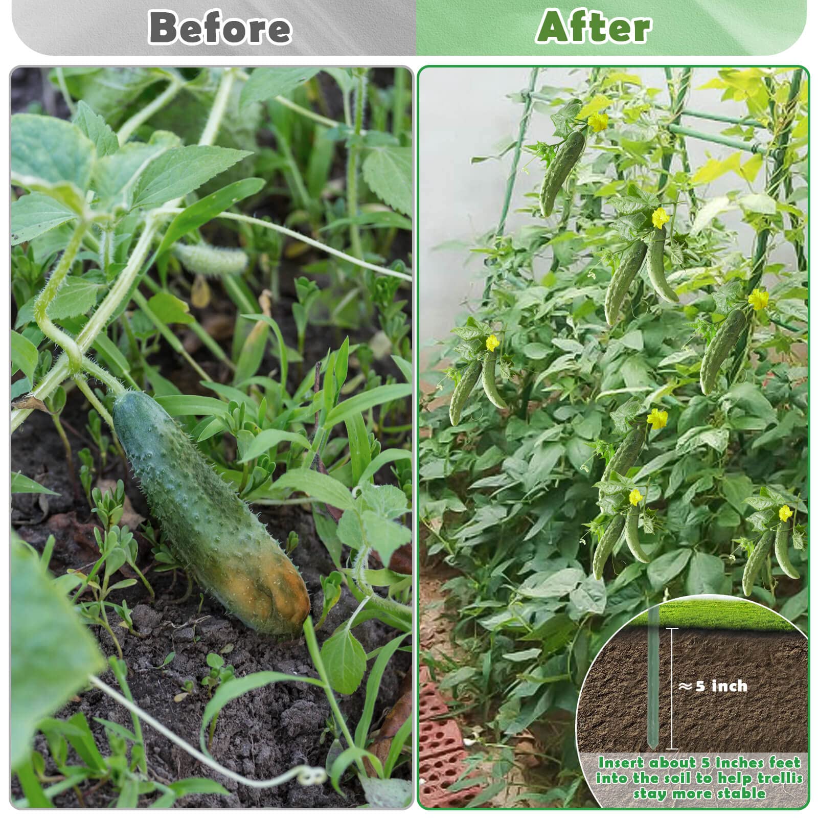 Tetutor Cucumber Trellis for Raised Beds, 63 x 45 Inch U-Shaped Garden Trellis for Climbing Plants Outdoors with Climbing Net, Metal Detachable Arch Plant Support Vegetable Trellis