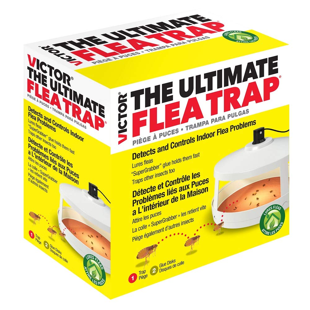 Victor Safer Brand M230A Ultimate Flea Trap, 1 Pack
