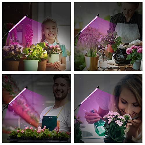 PYLYFE Full Spectrum Plant Grow Light, Grow Lights for Indoor Plant, Clip-on Full Spectrum Grow Light, Flexible Gooseneck, Automatic Timer, 4 Brightness Levels for Seedling Growing Blooming Fruiting