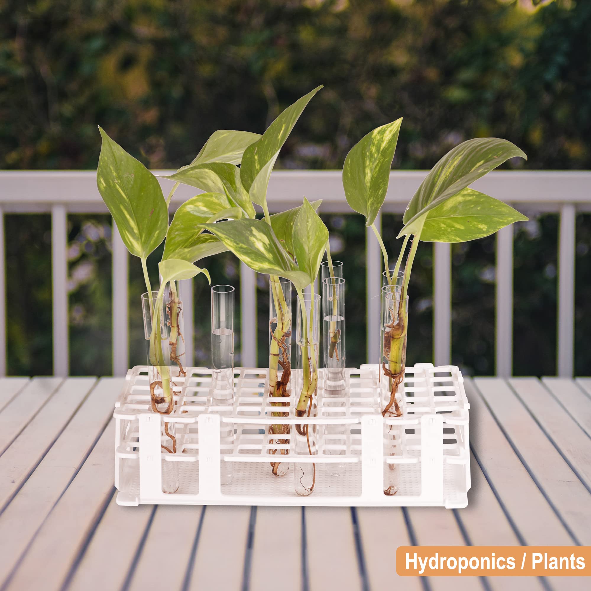 White Plastic Test Tube Rack (5 Pack) | Test Tube Holder for Vials & Tubes for Storing Solids (Beads, Ink Samples & Lip Balm), Liquids (Liquor Shots & Essential Oils) & Hydroponic Plants