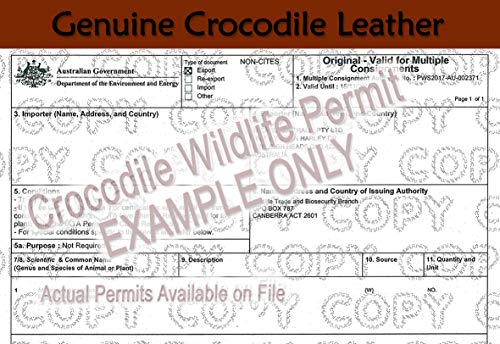 Oztrala】Leather Hat Crocodile Band Australian Outback Dundee Aussie Mens Womens Jacaru Black Brown Cowboy HLC1 US (Black, ML)