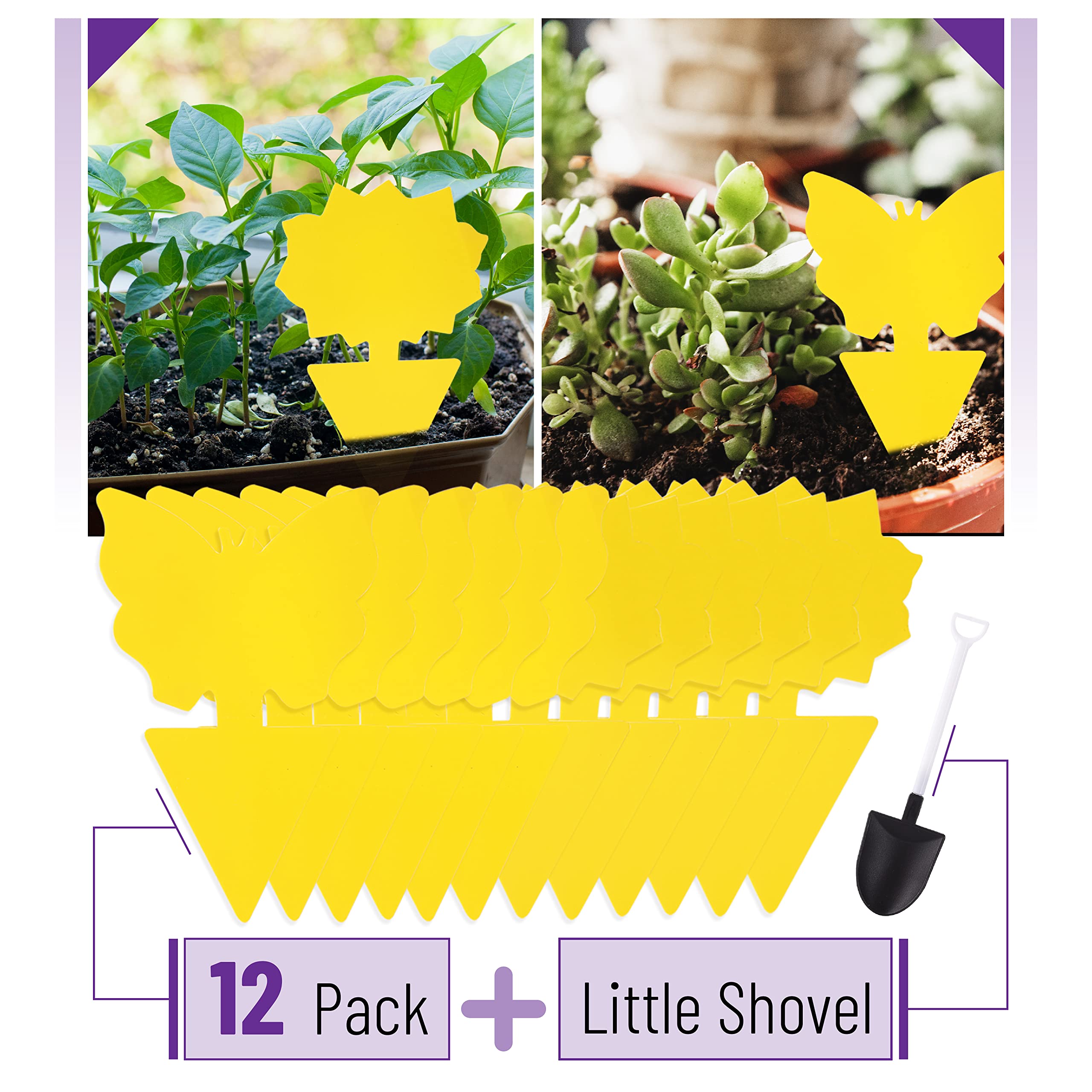 Sticky Fruit Fly Trap, 13 pcs, Fungus Gnat Sticky Trap with Shovel, Fly Traps for Indoors and Outdoor, Fruit Fly Killer, Gnat Sticky Traps for Plants, Fungus Gnat Killer