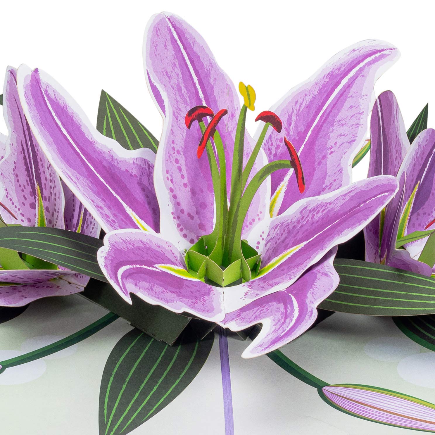 Paper Love 3D Purple Lilies Pop Up Card, Gift for Birthday, Wedding, Anniversary, Thank You, Get Well, All Occasion or Just Because - 5" x 7" Cover - Includes Envelope and Note Tag