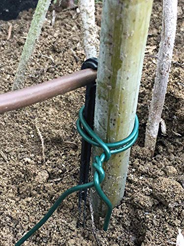 Sweet Online Deal 2.0mm Plant Cages Garden Twist Tie Bonsai Training Wire Twist 50 Feet