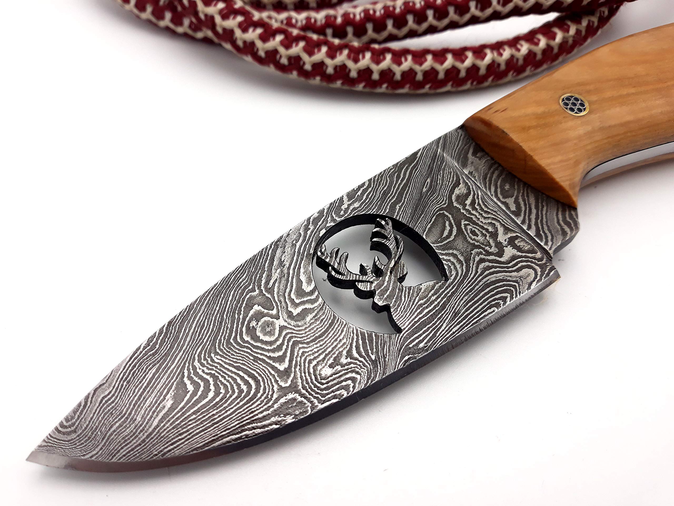 Nooraki REG- 61 Handmade Damascus Hunting knife 8.5 inches Full Tang Stag Head on Blade with Leather Sheath