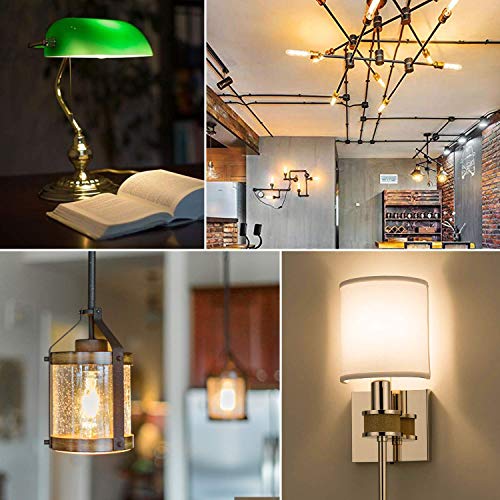 Leools T10 Led Bulb,Dimmable Tubular Vintage LED Edison Bulbs 6W,Equivalent 60 Watt,600LM,Warm White 2700K,Clear Glass,E26 Base Bulb, for Cabinet Display Cabinet etc,3 Pack.