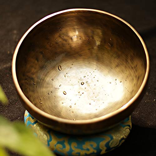 TJLSS Large Sound Singing Bowl, The Best Vibration Meditation Yoga Singing Bowl Handmade in Nepal (Size : 10cm)