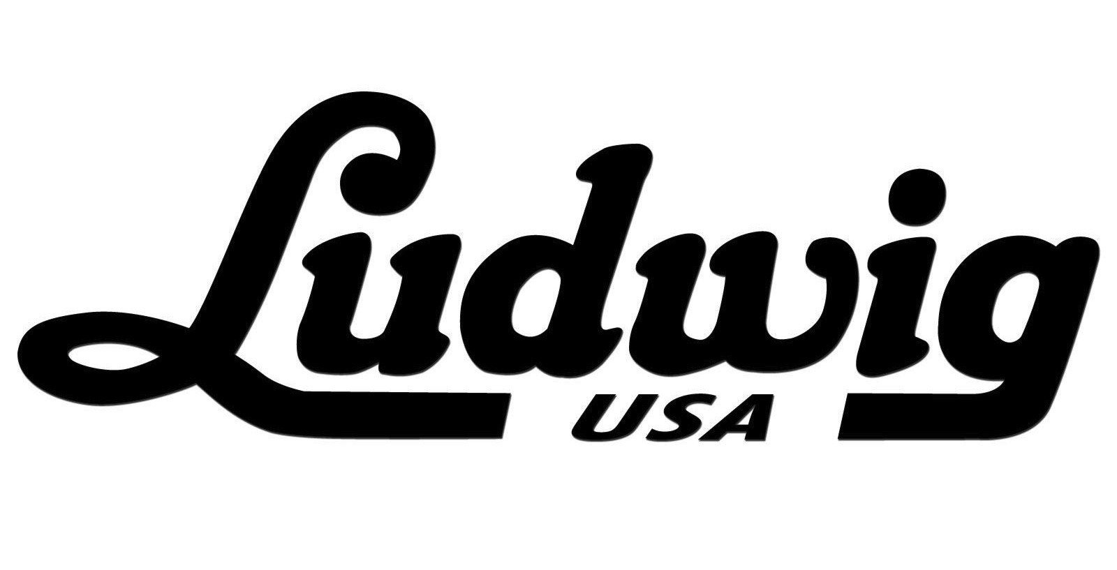 Ludwig Percussion Holder (P4042)